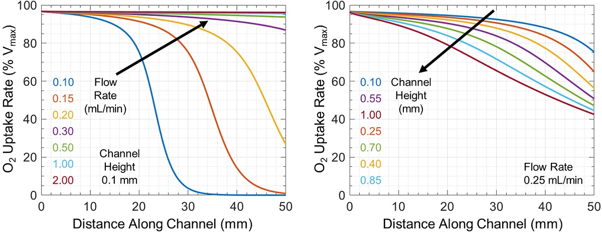 Oxygen Transport and Cellular Uptake in a Microchannel | Veryst Engineering