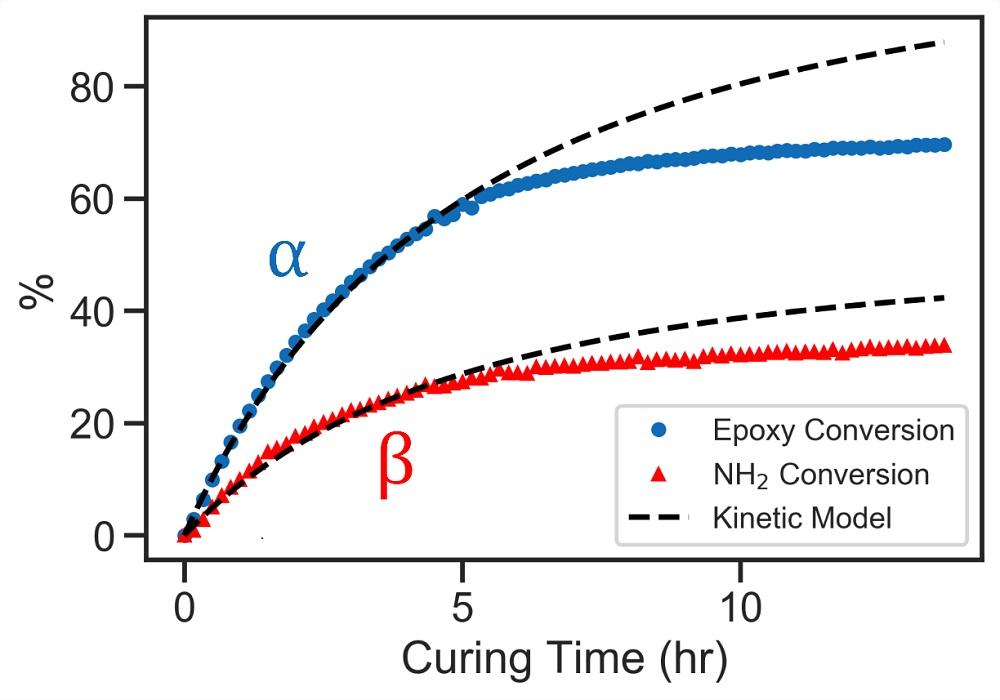 Real-Time Monitoring of Adhesive Curing and Kinetic Model Calibration ...